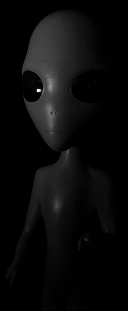 RETICULAN EXTRATERRESTRIAL BIOLOGICAL ENTITY (EBE)